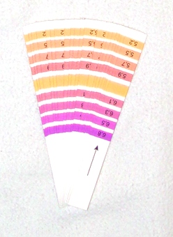 pH Messstreifen pH 5,2-6,8 | Sevibräu Bierbrauzubehör Online-Shop
