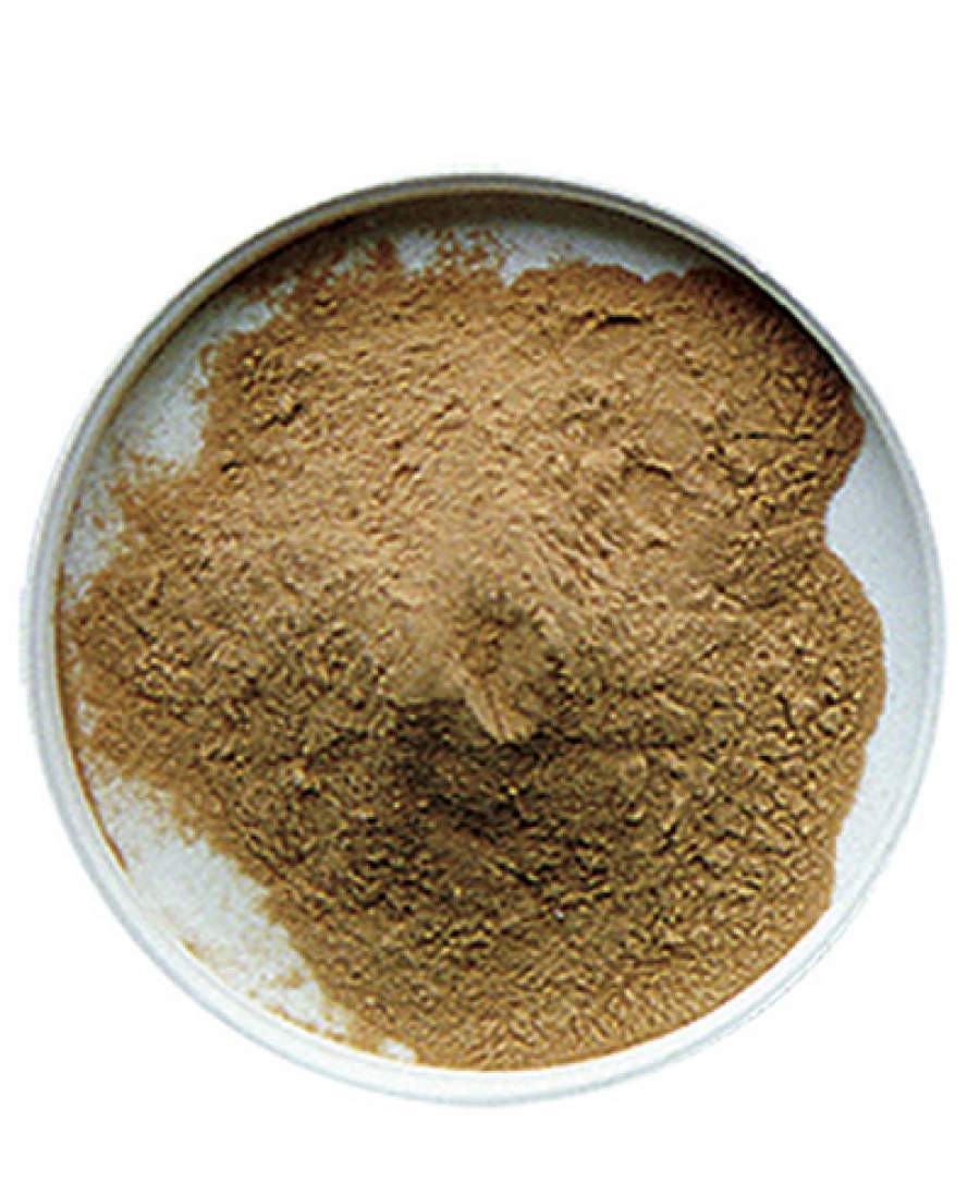Malzextrakt Pulver Black 0.5kg | Sevibräu Bierbrauzubehör Online-Shop