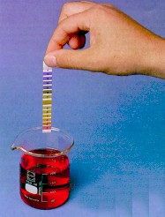 pH Messstreifen (20Stk.) pH 2.8-4.6 | PH-Wasser-Messung ...